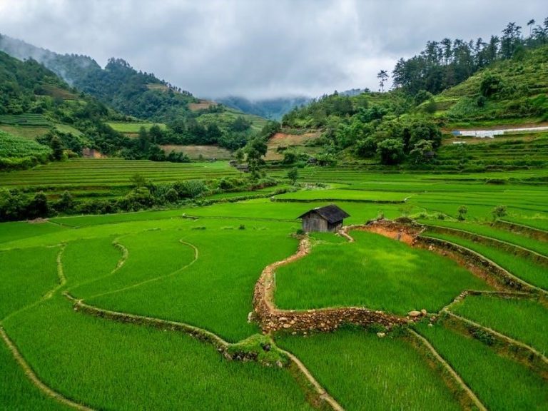 McGraw Hill Precalculus Textbook PDF | Free Download